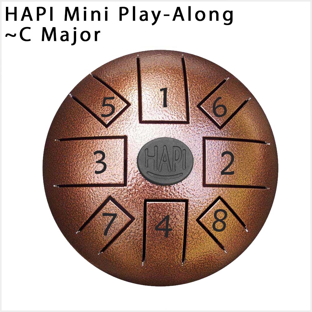 HAPI Drum - Steel Tongue Drum - Mini Drum